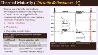 Concept of Source Rock Characterisation | PPTX