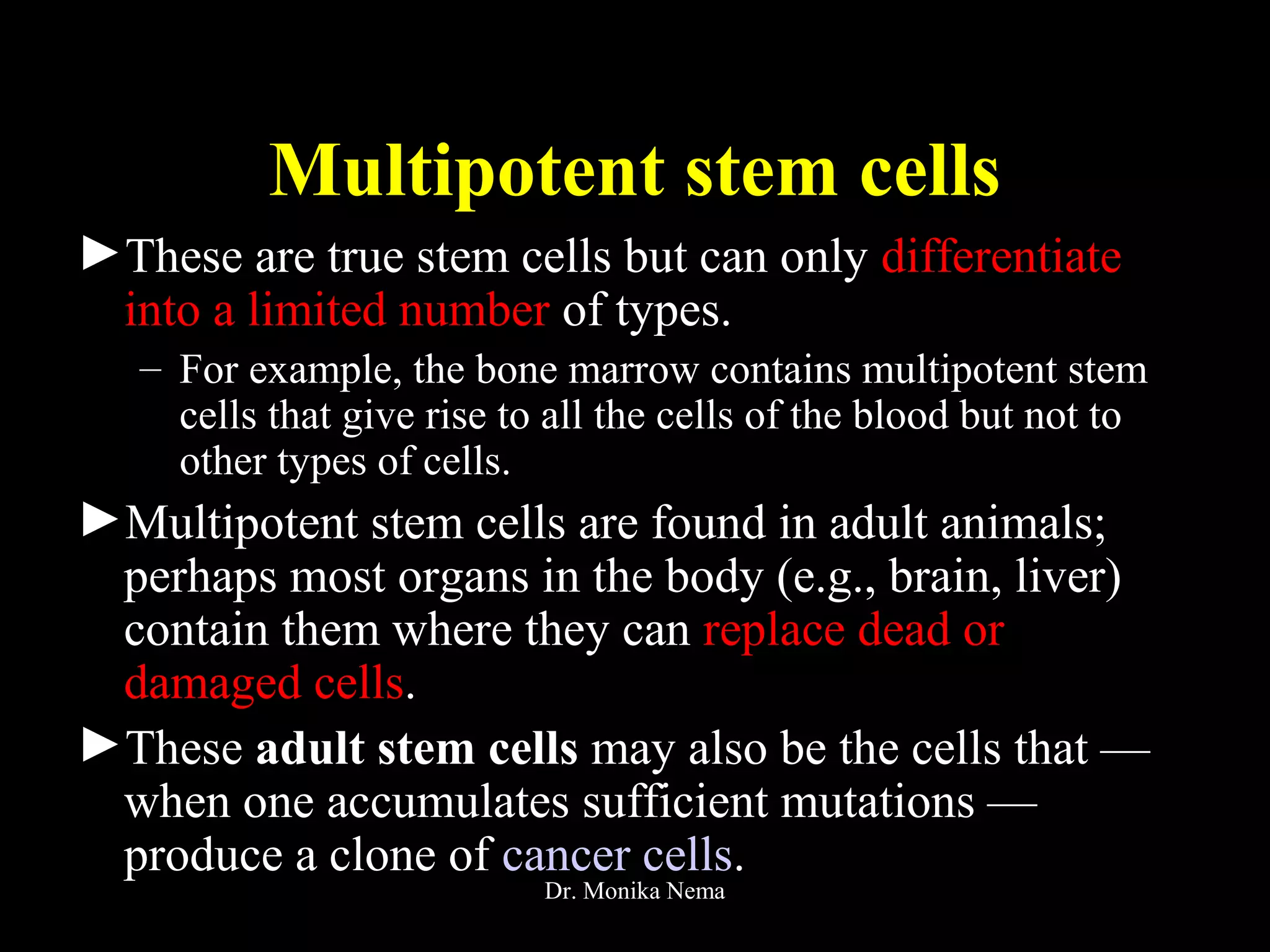 stem cells | PPT