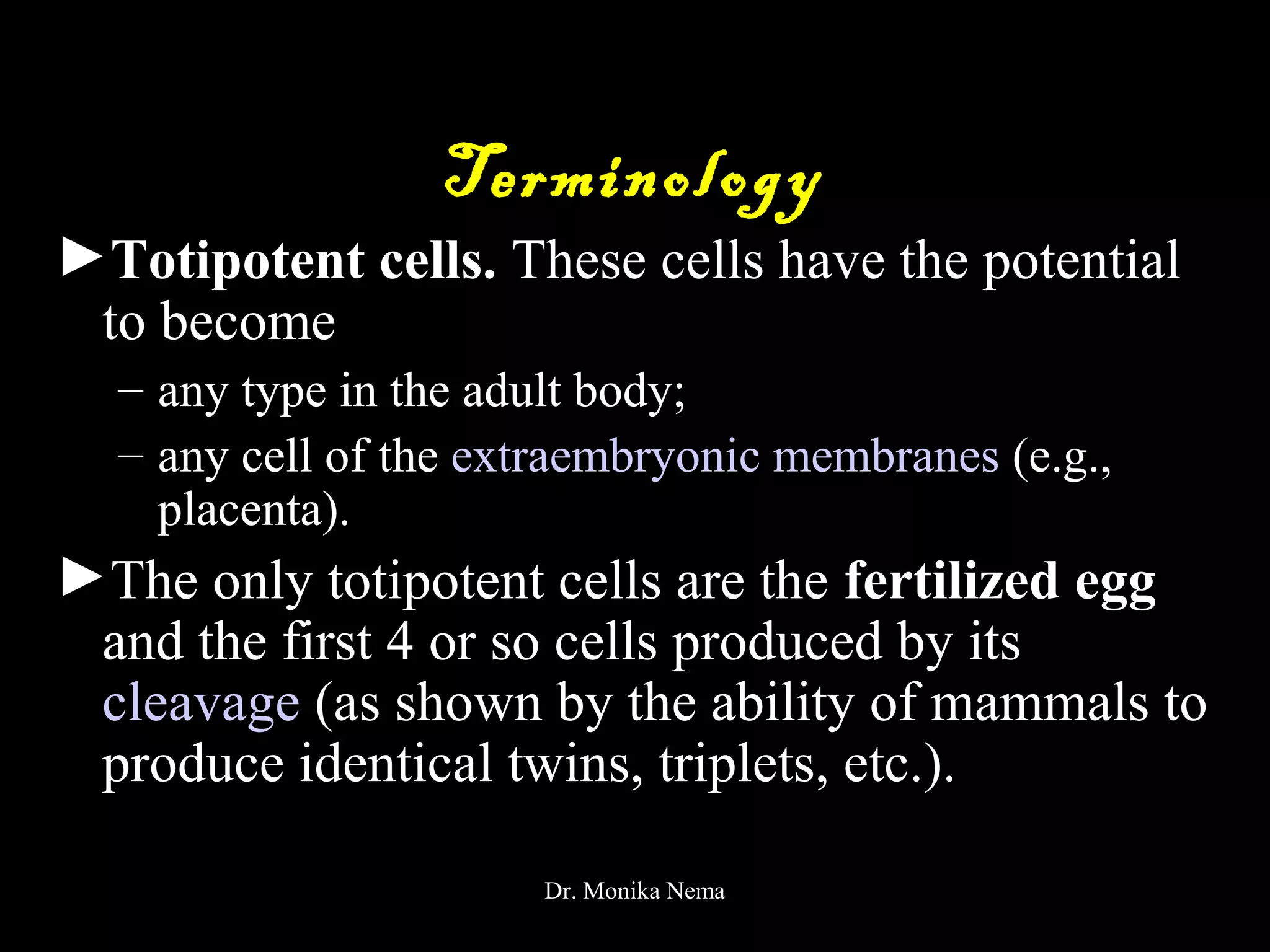 stem cells | PPT