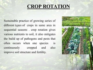 concept of sustainability.pptx
