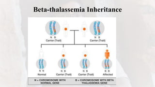 Thalassemia #Alpha_Thalassemia #Beta_Thalassemia #Fetal_Heamoglobin # ...