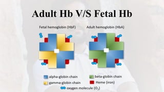 Thalassemia #Alpha_Thalassemia #Beta_Thalassemia #Fetal_Heamoglobin # ...
