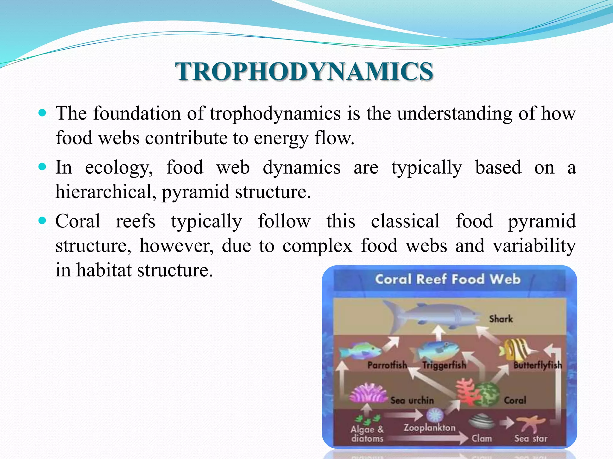 CONCEPT OF TROPHODYNAMICS PPT | PPTX