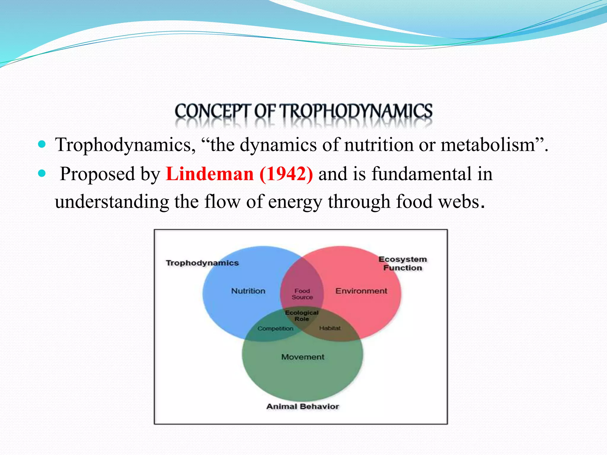CONCEPT OF TROPHODYNAMICS PPT | PPTX