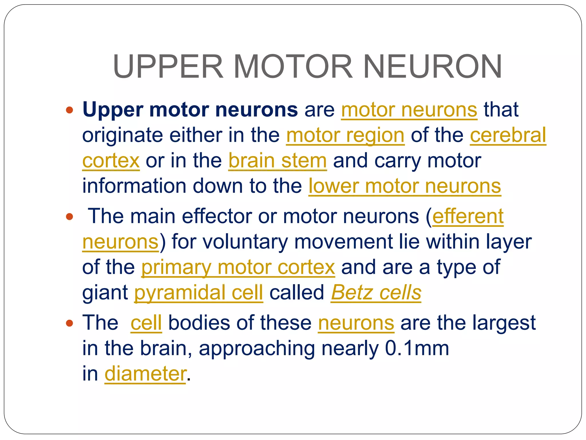 C oncept of upper and lower motor neuron | PPTX