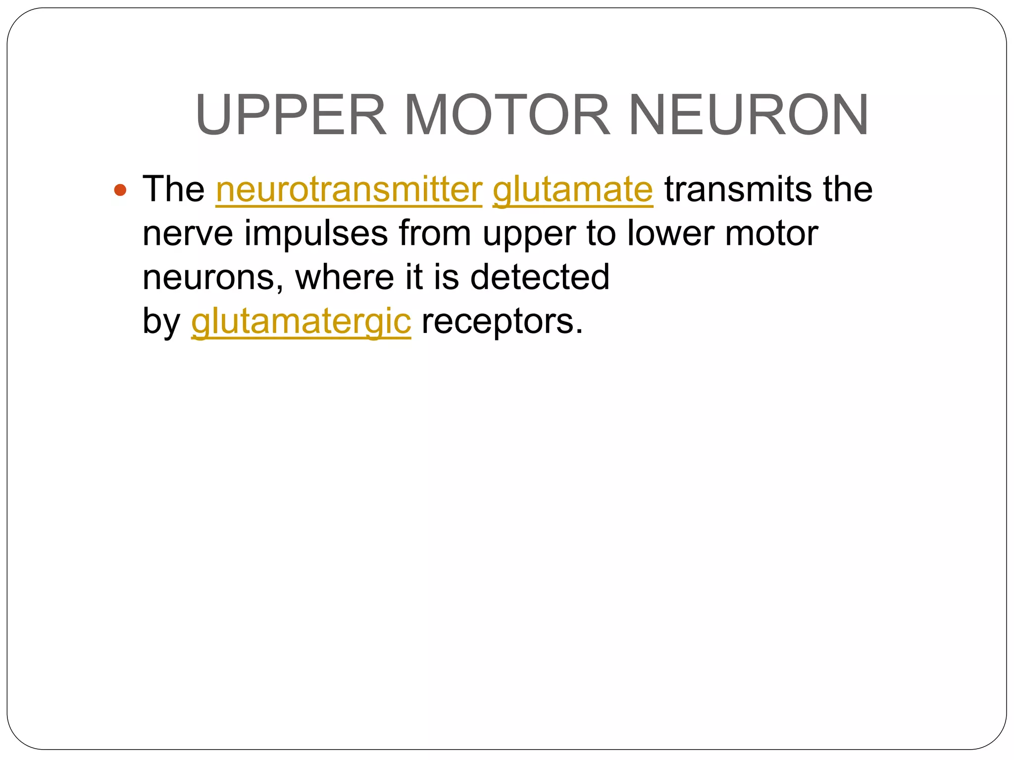 C oncept of upper and lower motor neuron | PPTX