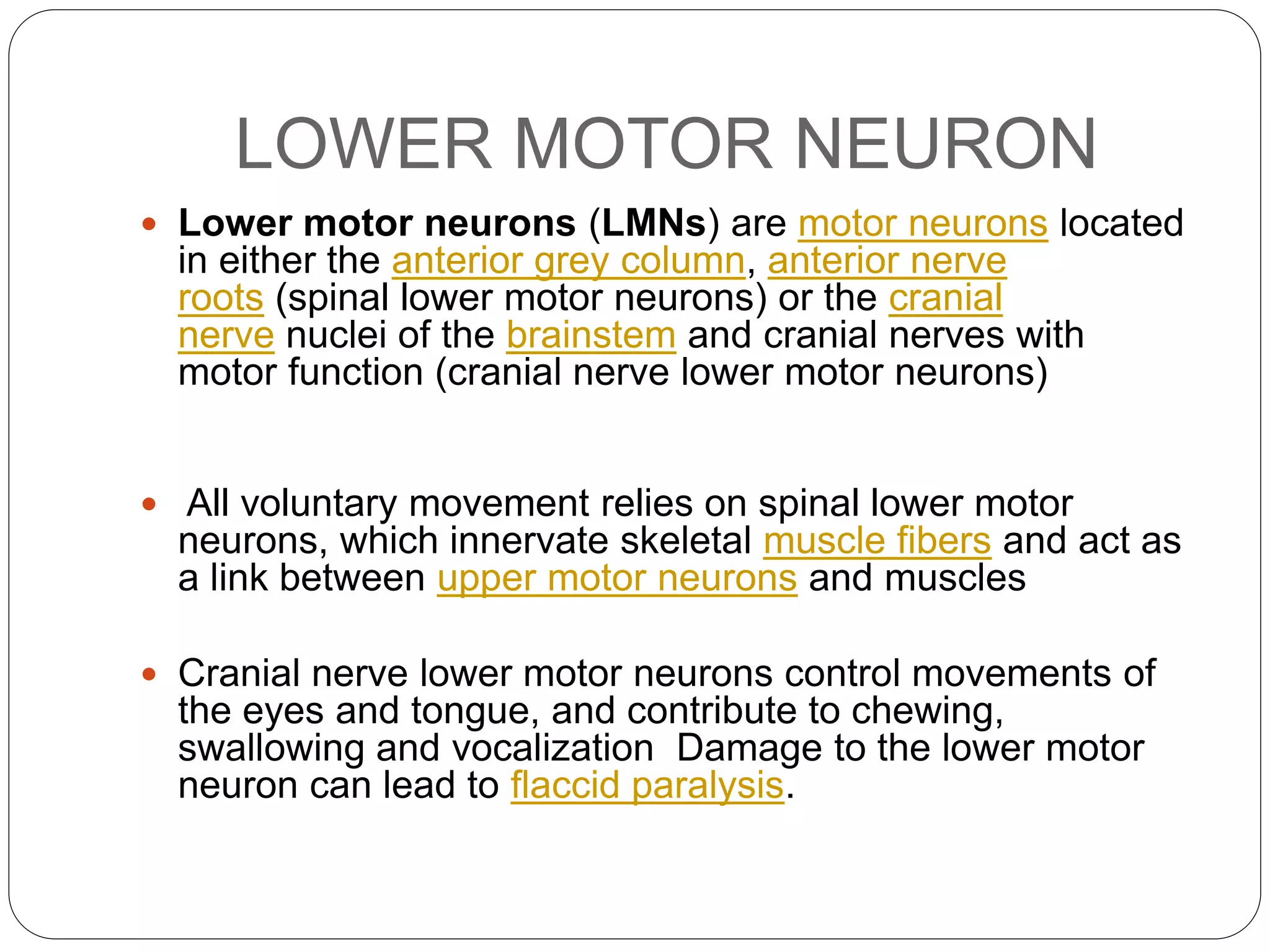 C Oncept Of Upper And Lower Motor Neuron Ppt