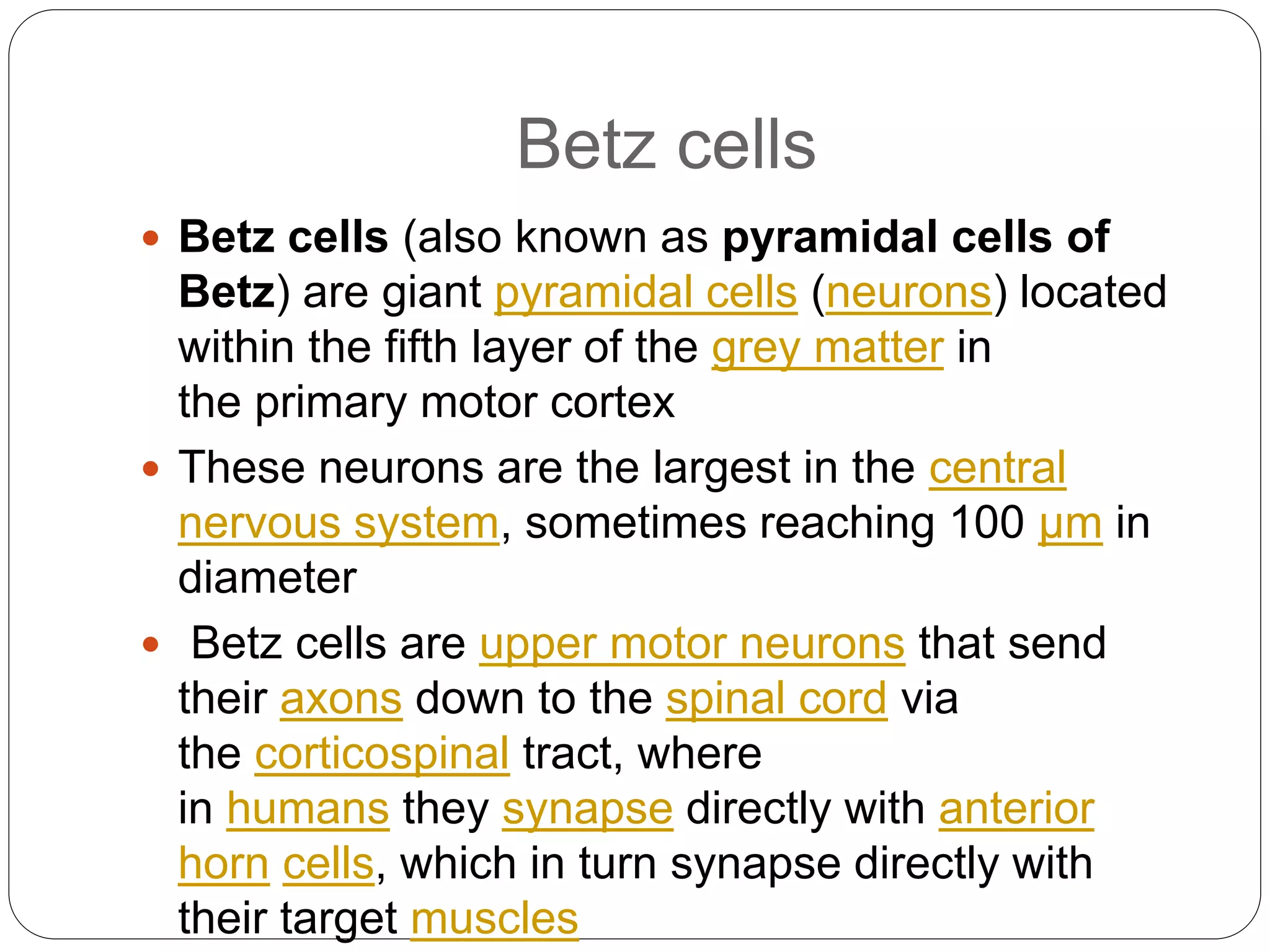 C oncept of upper and lower motor neuron | PPTX