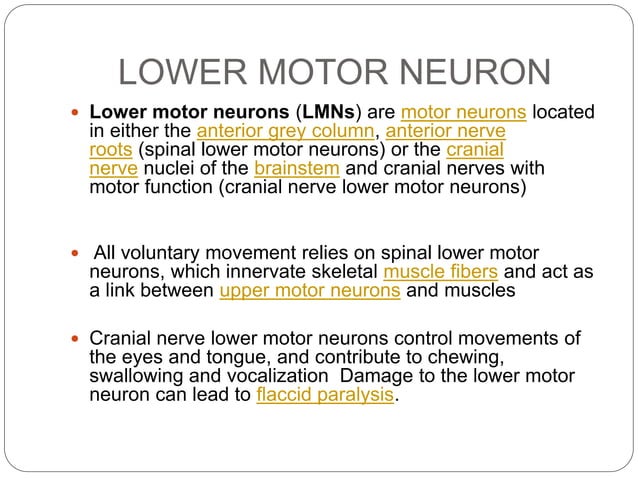 C oncept of upper and lower motor neuron | PPT