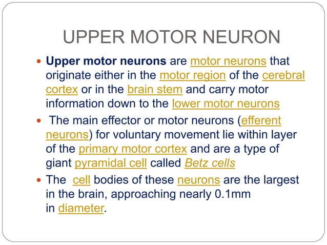 C oncept of upper and lower motor neuron | PPT