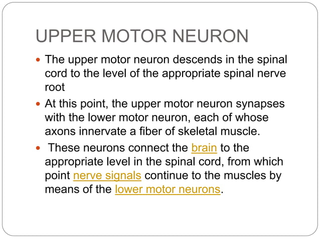 C oncept of upper and lower motor neuron | PPT