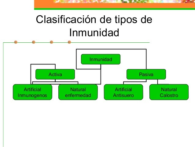 Conceptos basicos de inmunidad