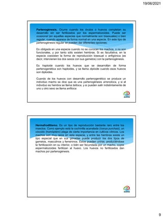 CONCEPTOS BASICOS DE ENTOMOLOGIA GENERAL.pdf