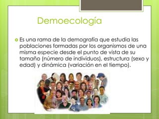 Conceptos basicos ecologia | PPTX