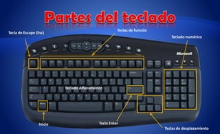 Conceptos básicos de Computación | PDF