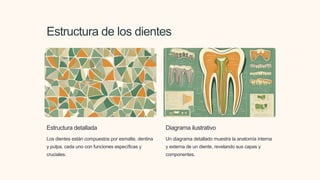 Conceptos básicos de la Anatomía Dental.pptx