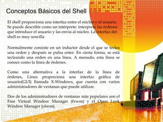 Conceptos básicos del shell | PPSX