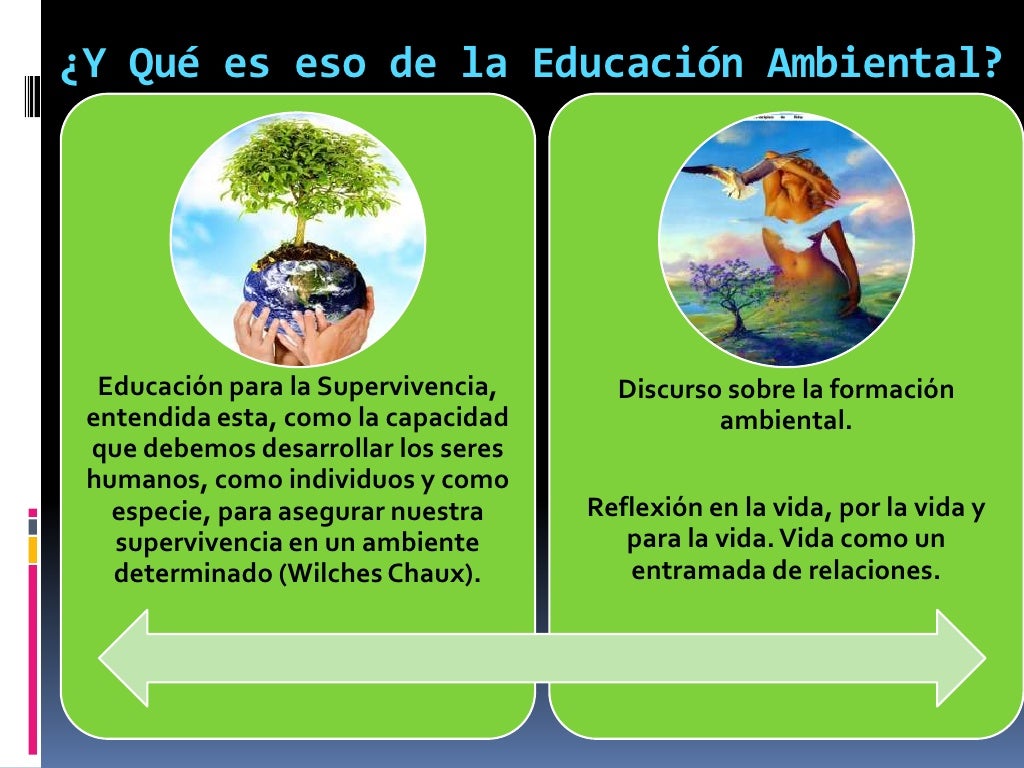 Conceptos BáSicos EducacióN Ambiental[1] Pptx