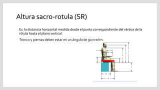 Conceptos de antropometría.pptx
