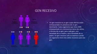 Conceptos de Genética.pptx