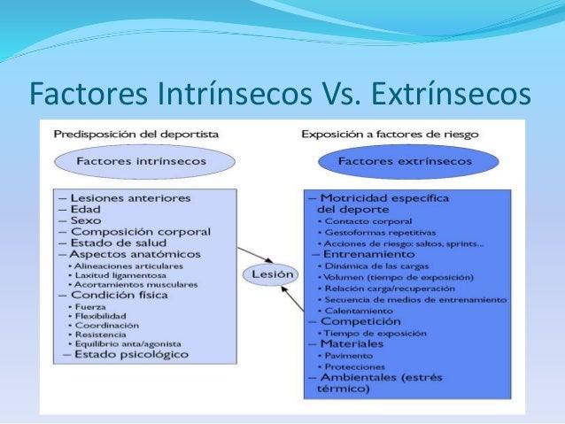 Conceptos ecológicos