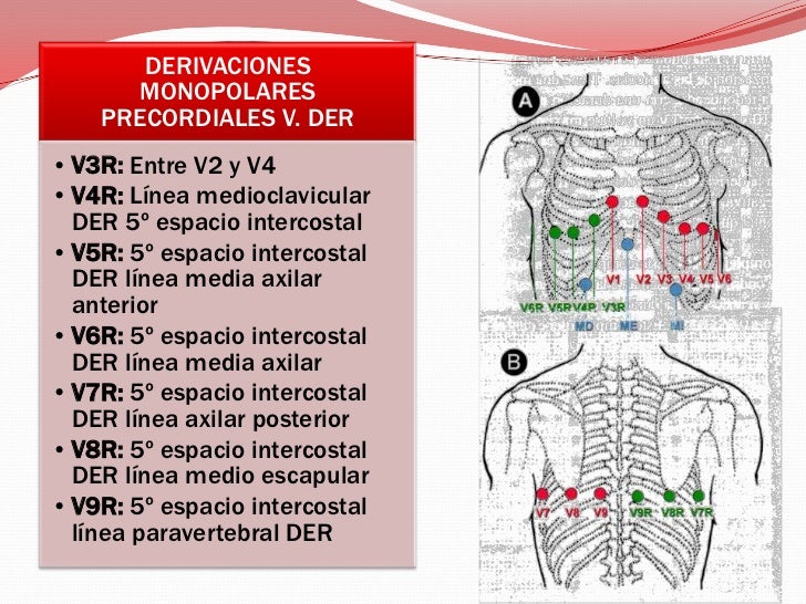 Electrocardiograma Pdf Interpretacion Electrocardiograma EKG
