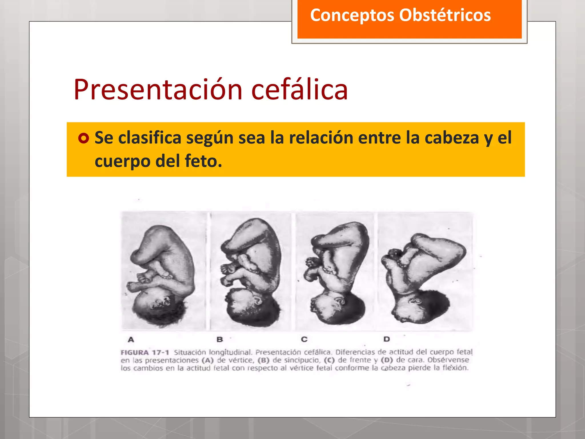 Conceptos obstétricos (Situación, presentación, actitud de posición del ...