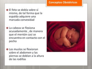 Conceptos obstétricos (Situación, presentación, actitud de posición del ...