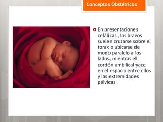 Conceptos obstétricos (Situación, presentación, actitud de posición del ...