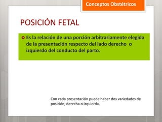 Conceptos obstétricos (Situación, presentación, actitud de posición del ...