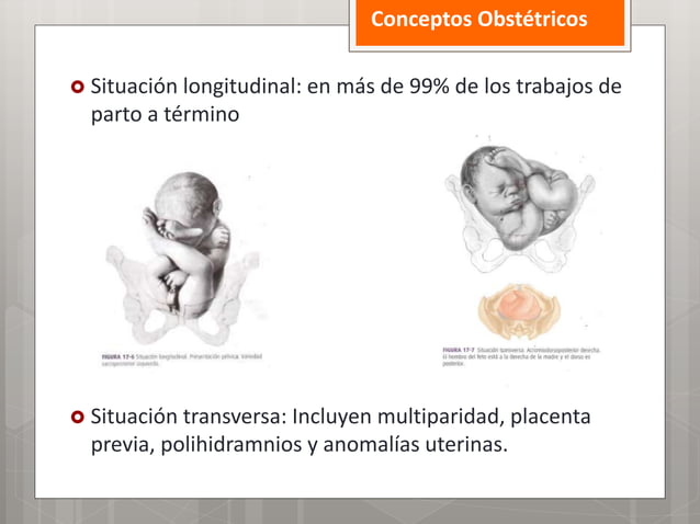 Conceptos obstétricos (Situación, presentación, actitud de posición del ...