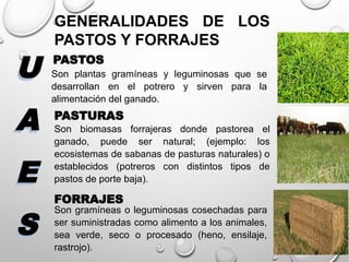 CONCEPTOS Y DEFINICION DE LOS FORRAJES.pptx