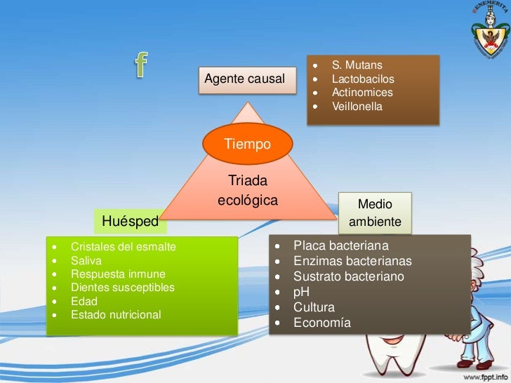 Concepto y etimologia de caries