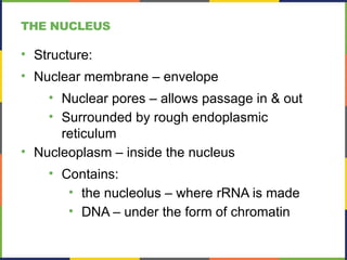 Concepts-of-Biology-Science-BIOLOGY.pptx