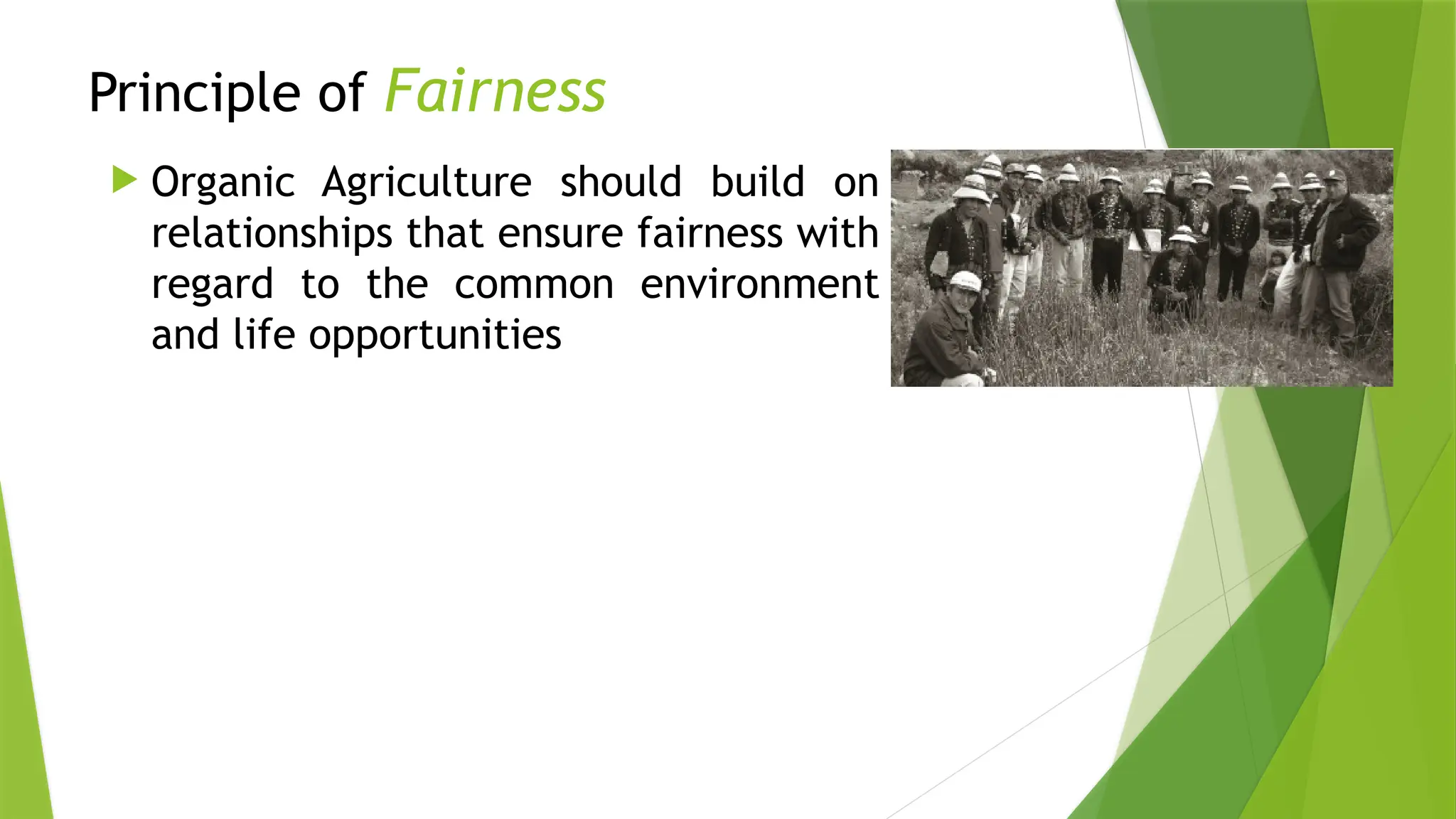 Concepts-of-Organic-Agriculture.pptx . Organic Agriculture Program | PPTX