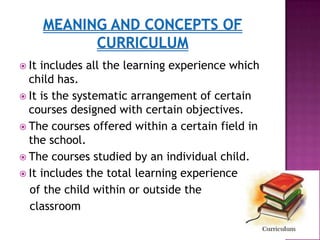 Concepts and steps in curriculum | PPTX | Primary Education | Education