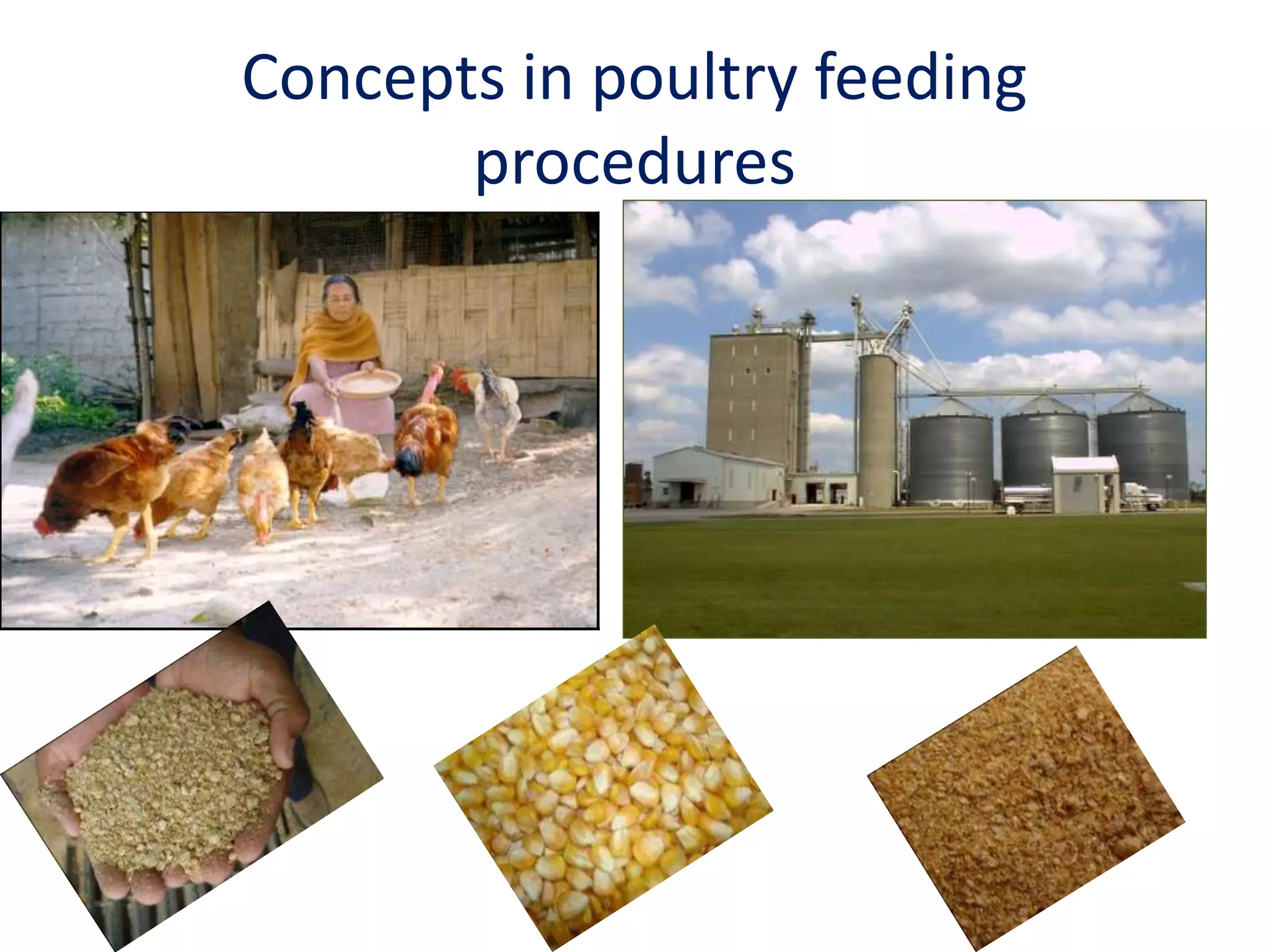 Concepts in poultry feeding | PPTX