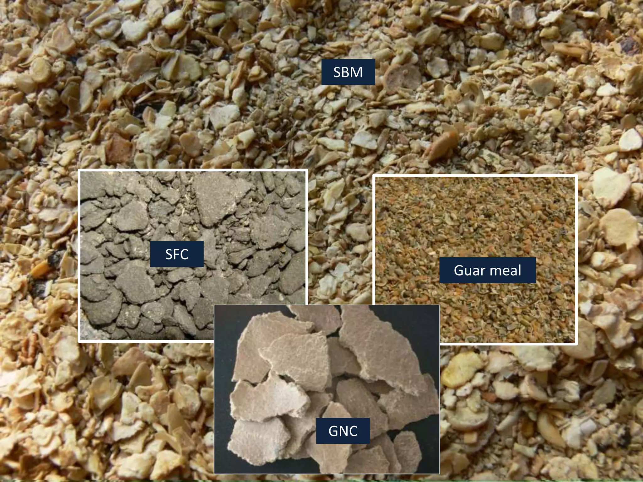 Concepts in poultry feeding | PPTX
