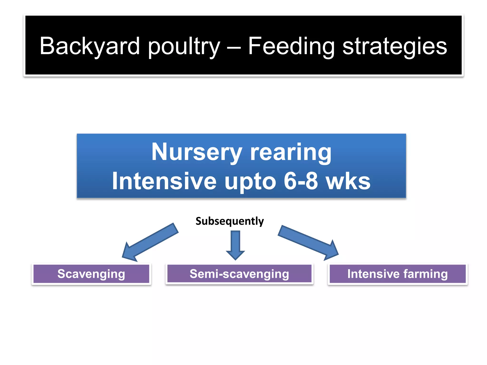 Concepts in poultry feeding | PPTX