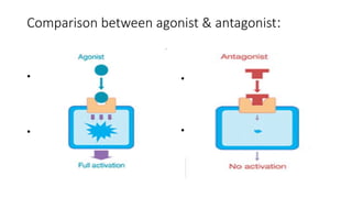 Concepts of agonist and antagonist receptors | PPTX