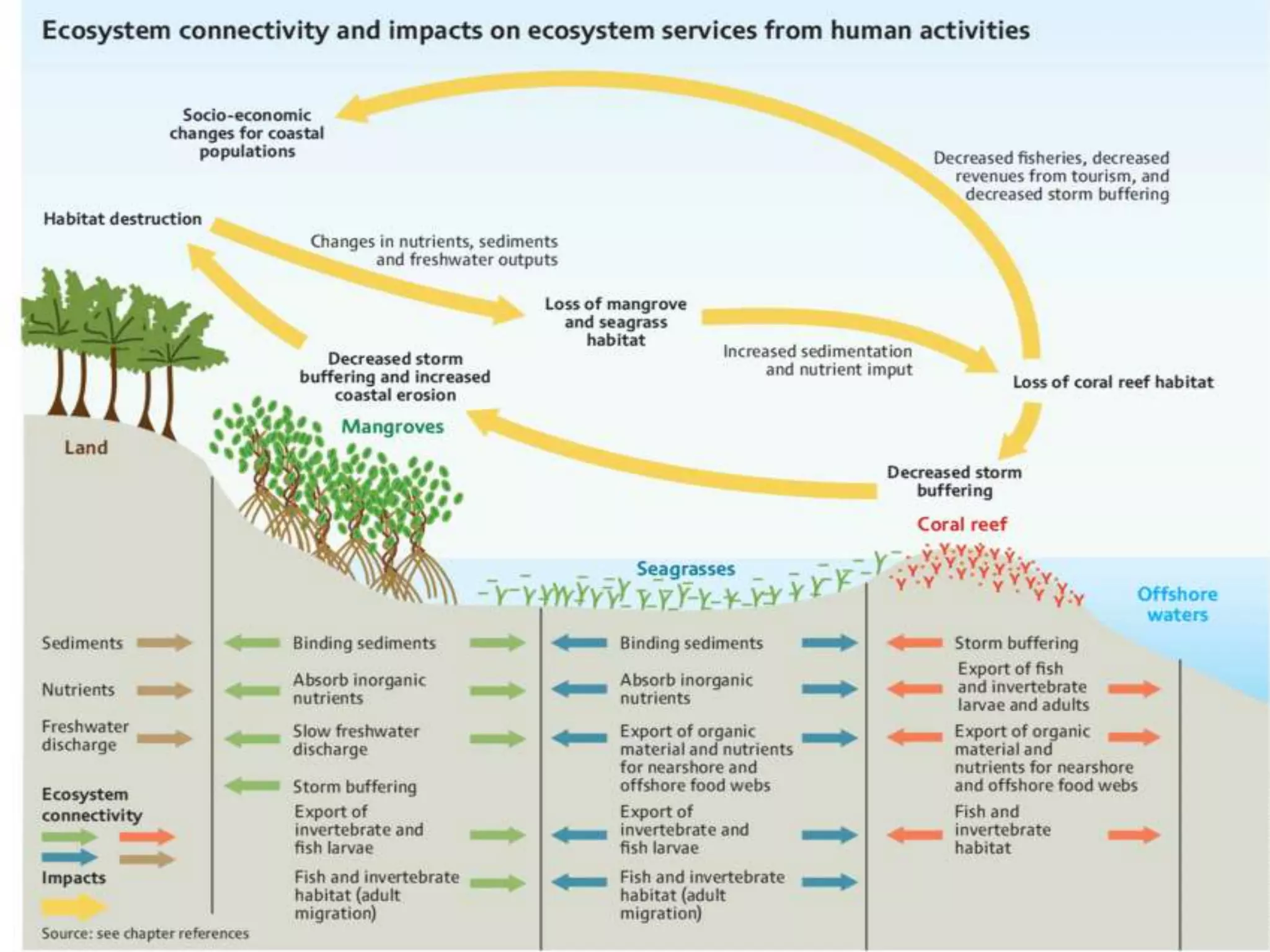 Concepts of biosphere, ecosystem, biome, ecotone, community and ecology ...