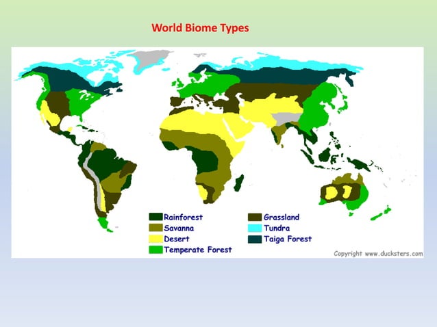 Concepts of biosphere, ecosystem, biome, ecotone, community and ecology ...