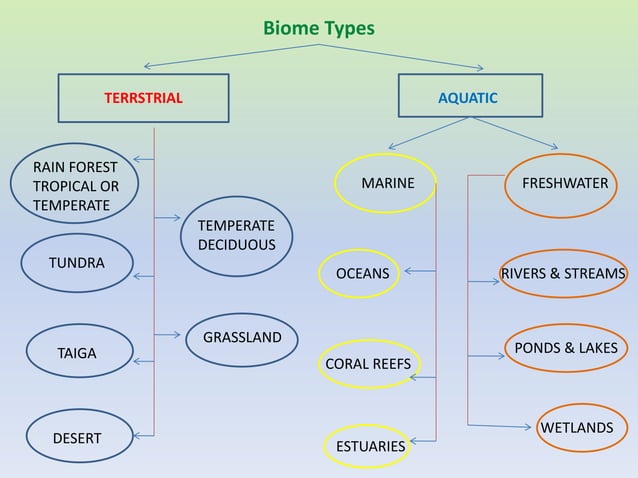 Concepts of biosphere, ecosystem, biome, ecotone, community and ecology ...
