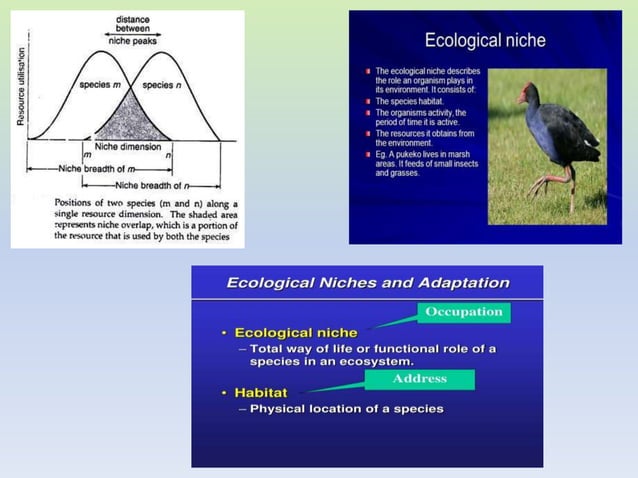 Concepts of biosphere, ecosystem, biome, ecotone, community and ecology ...