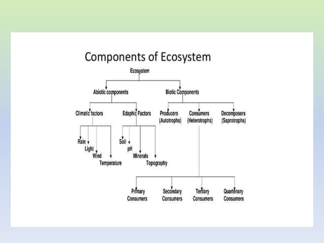 Concepts of biosphere, ecosystem, biome, ecotone, community and ecology ...