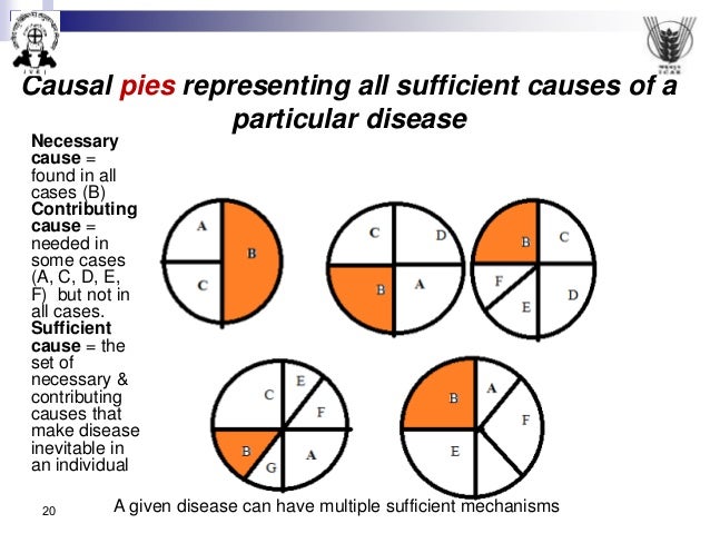 Concepts of disease causation