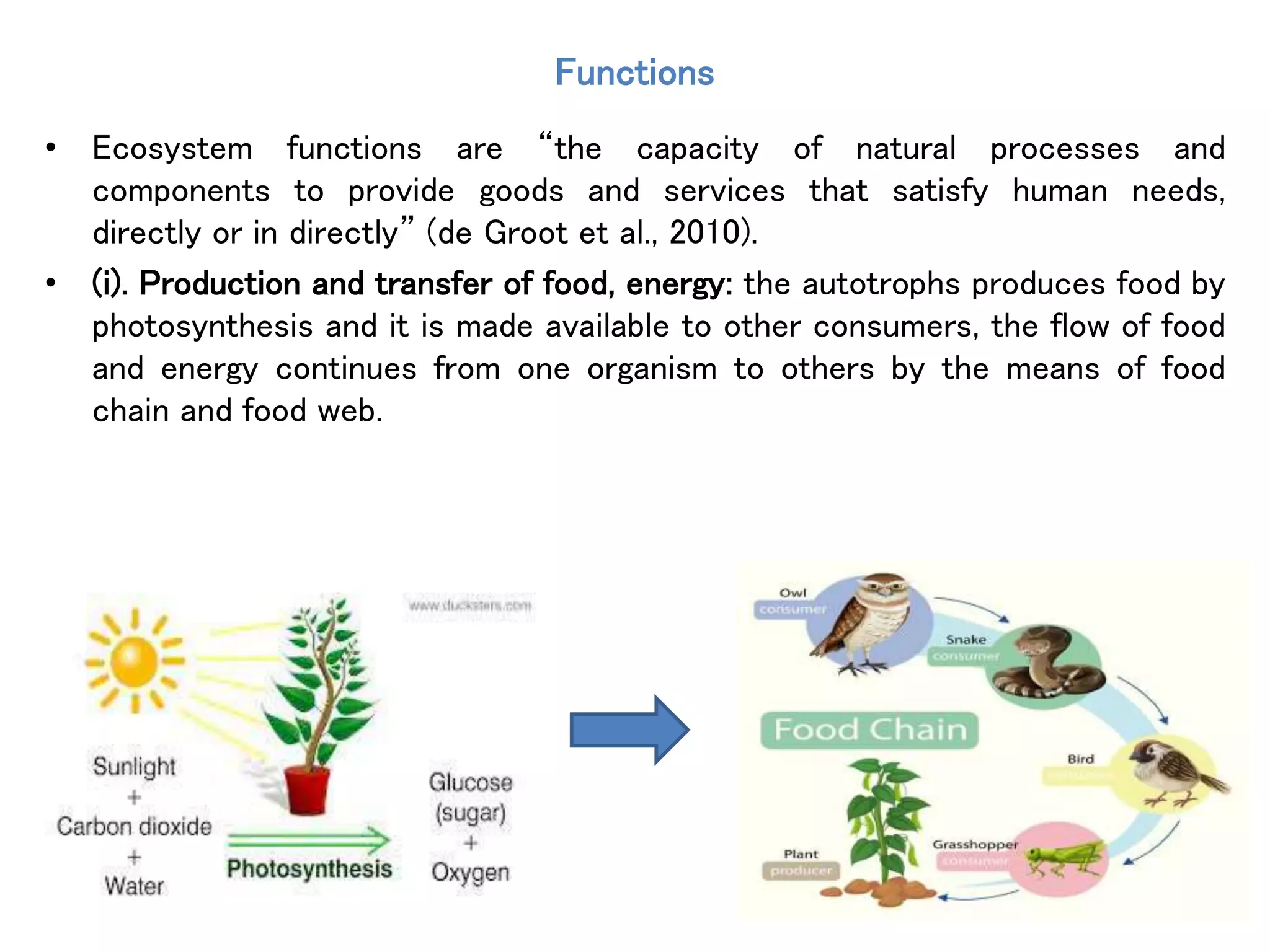 Concepts of ecosystem | PPTX