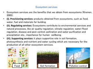 Concepts of ecosystem | PPTX