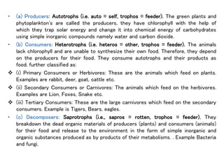 Concepts of ecosystem | PPTX