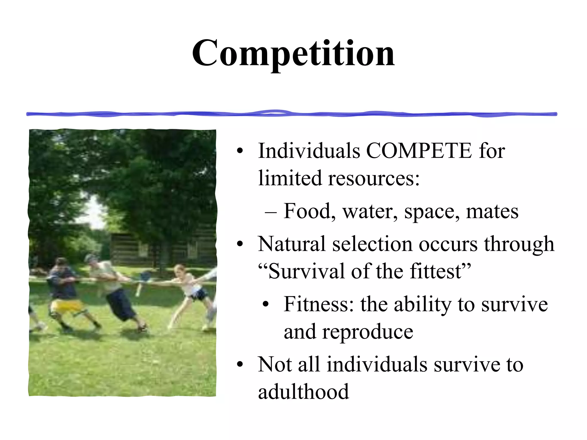 Concepts of Evolution.pptx